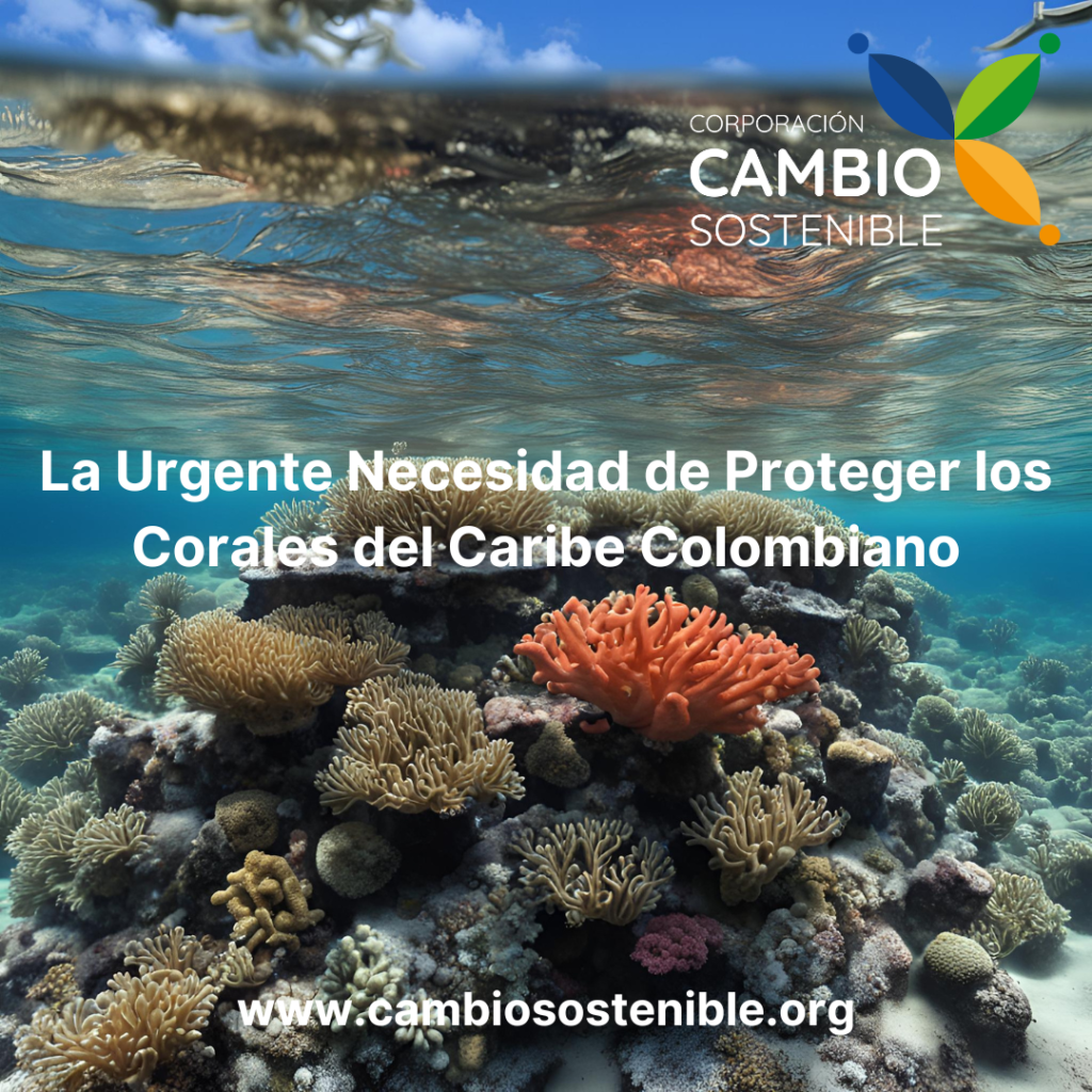 La Urgente Necesidad de Proteger los Corales del Caribe Colombiano ...